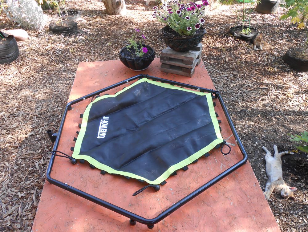 Spring Into Action - Thrive Global