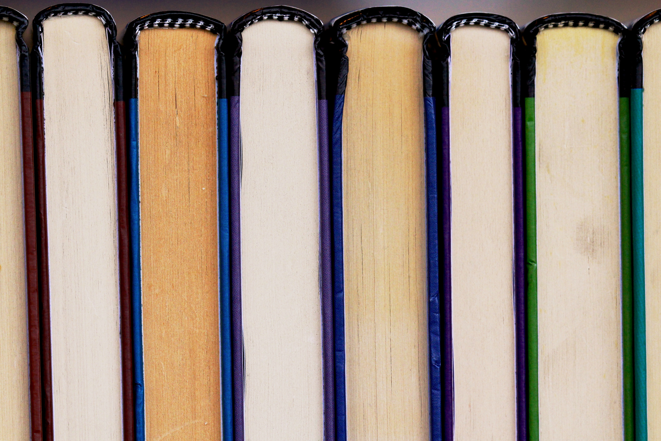 If You Only Read a Few Books in 2019, Read These - Thrive Global