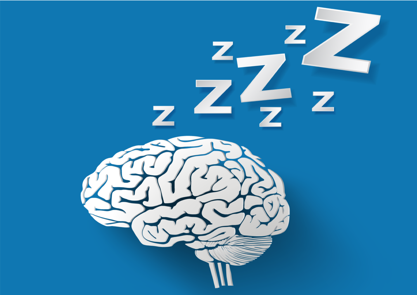 Your Brain on Sleep - Thrive Global