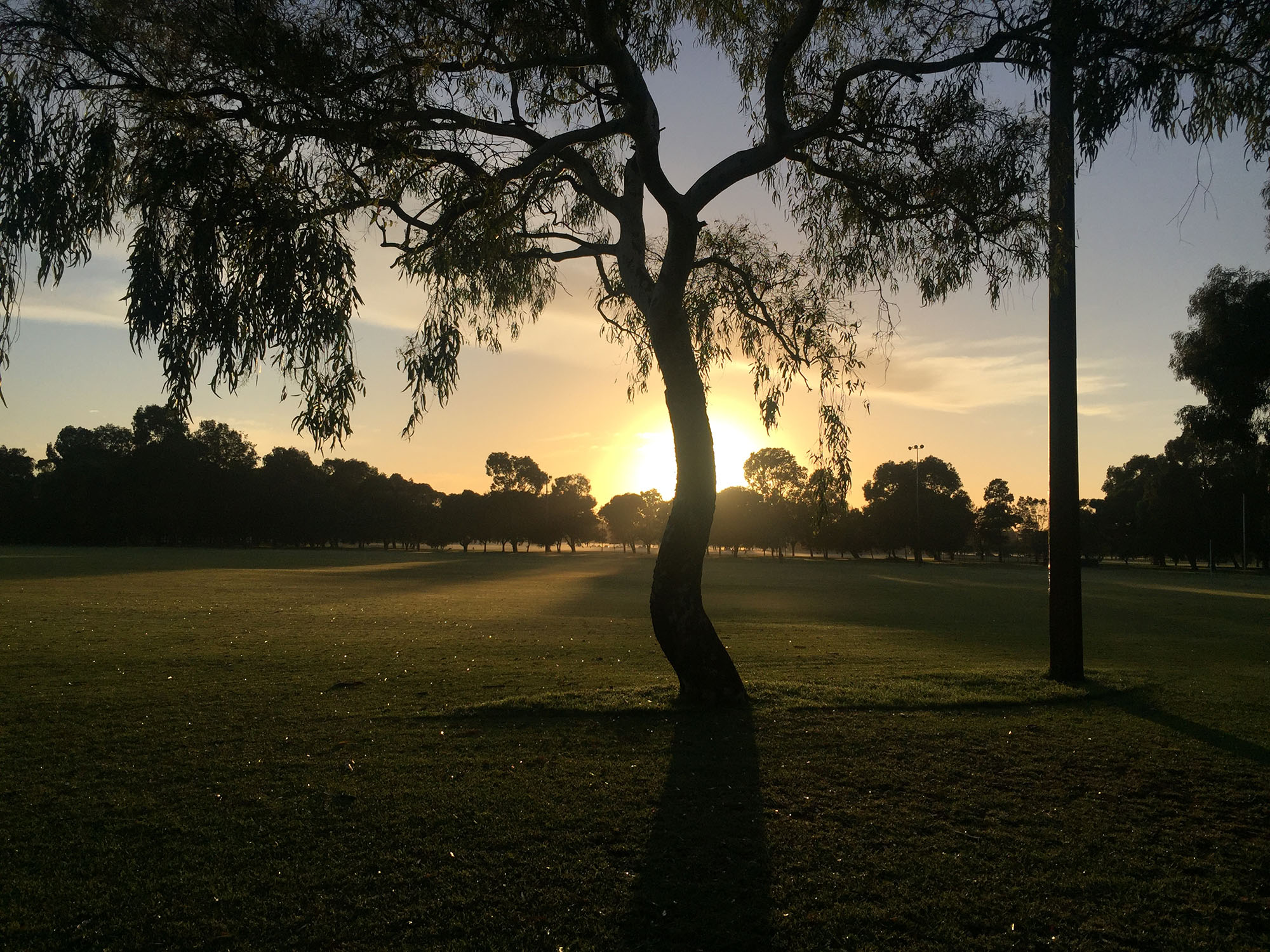 Inspiration in simple places - Thrive Global