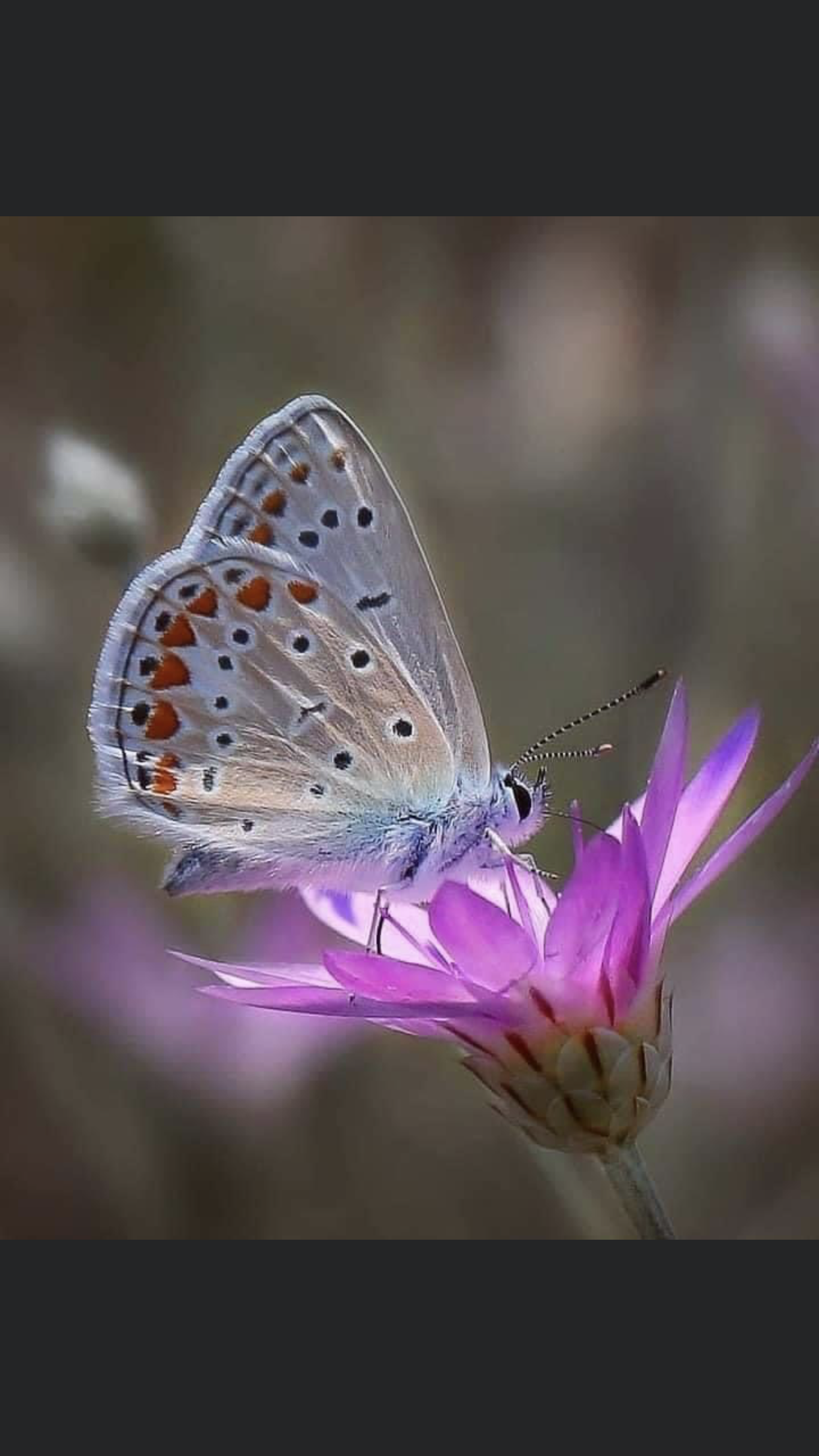 A Screen Between You and Me - Thrive Global