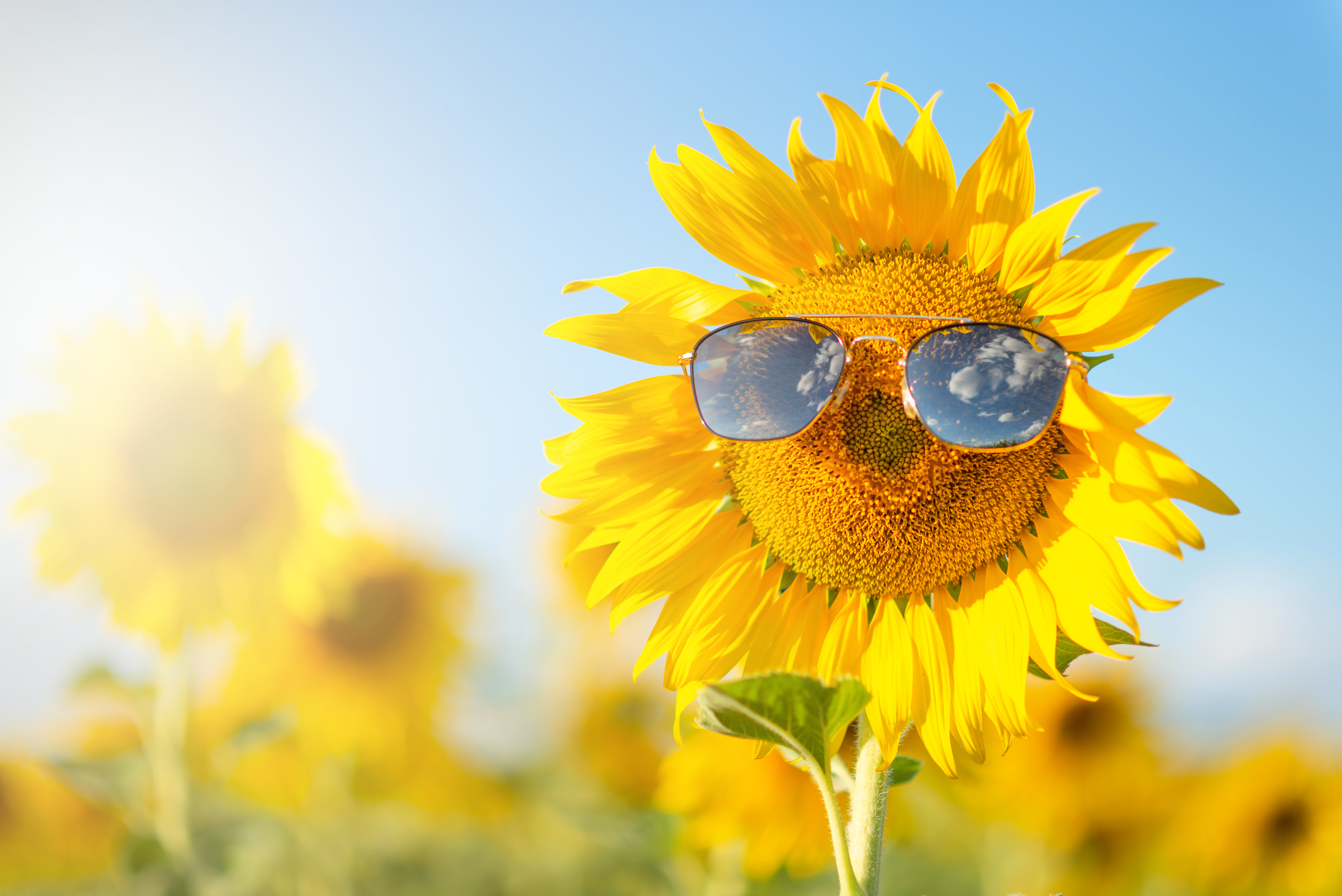 10 Questions That Will Lead You to a Life of Joy - Thrive Global