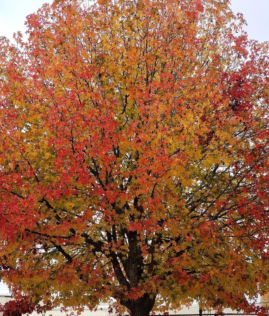 What Do You Need to Let Go? - Thrive Global