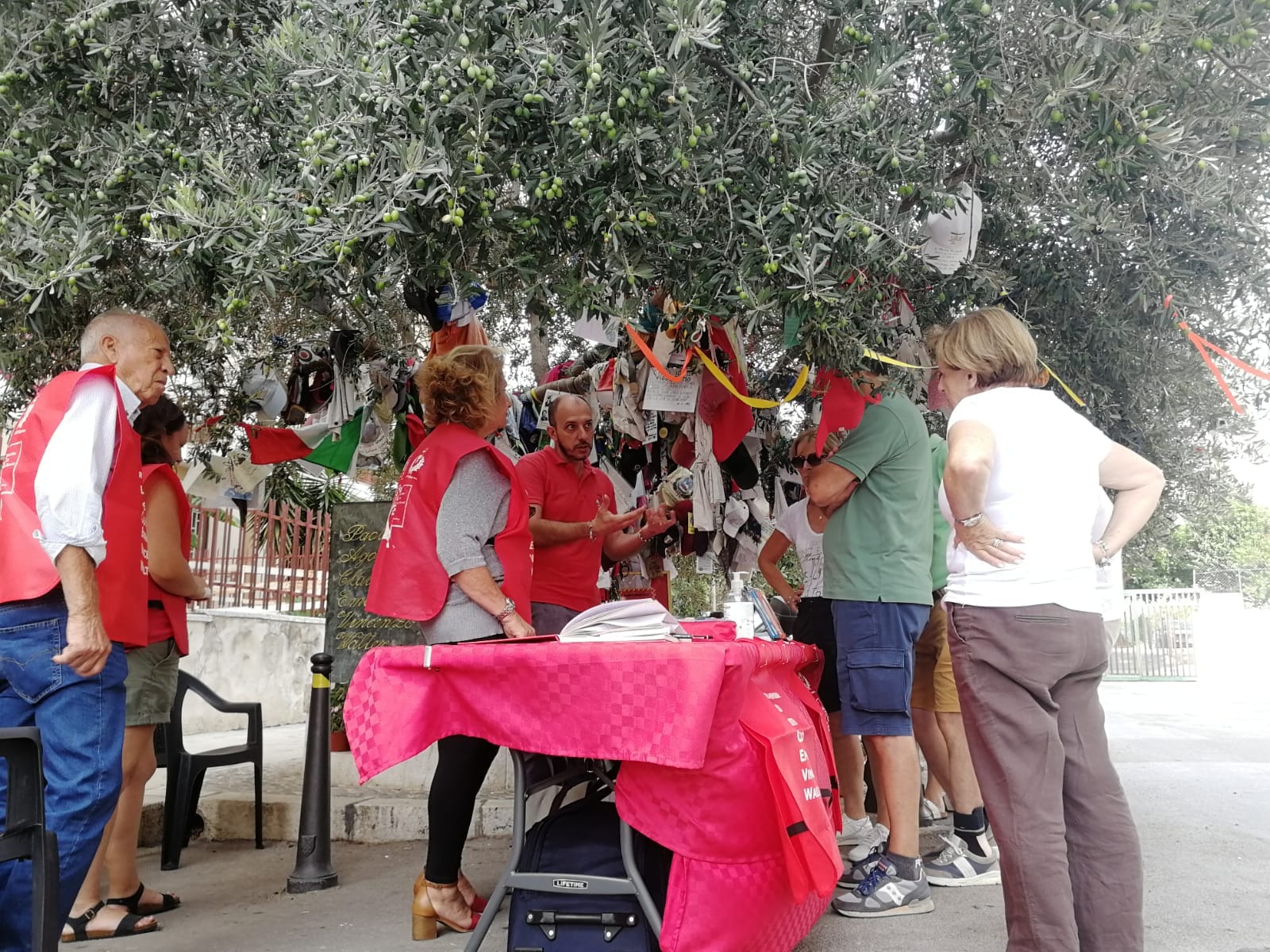 How Protecting An Olive Tree In Sicily Means Protecting Memory - Thrive ...