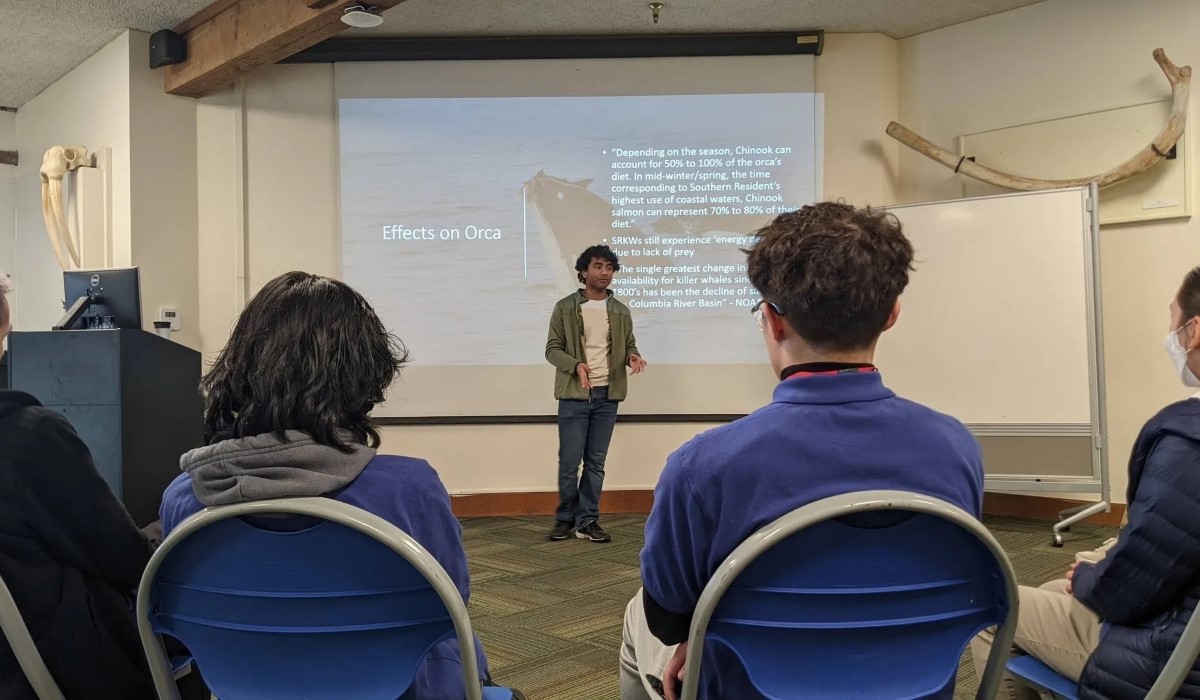 Teenage Environmental Activist Inspires Youth to Save the Seas and ...