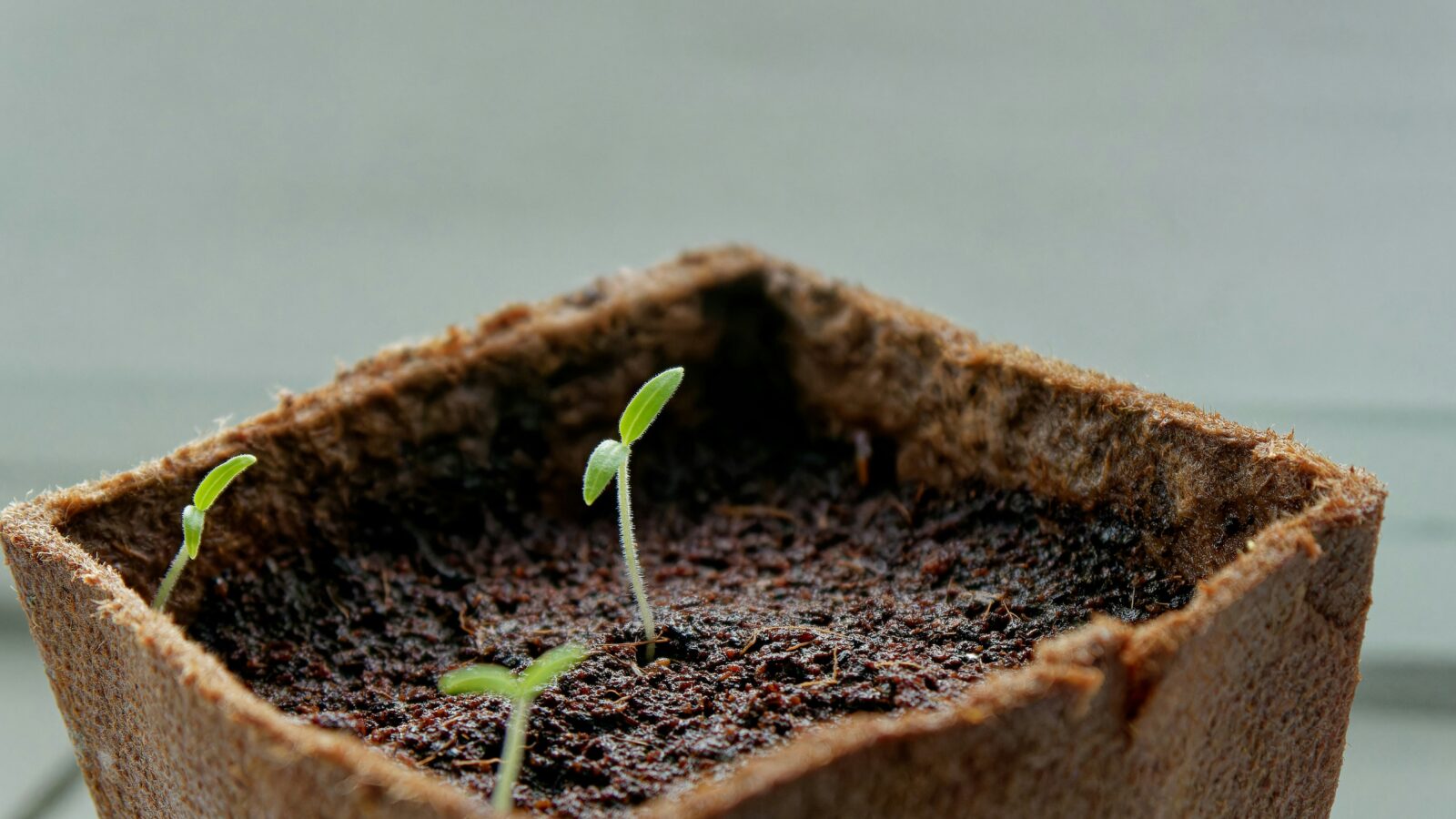 Why Self Awareness Is the Real Shortcut to Professional Growth - Thrive ...