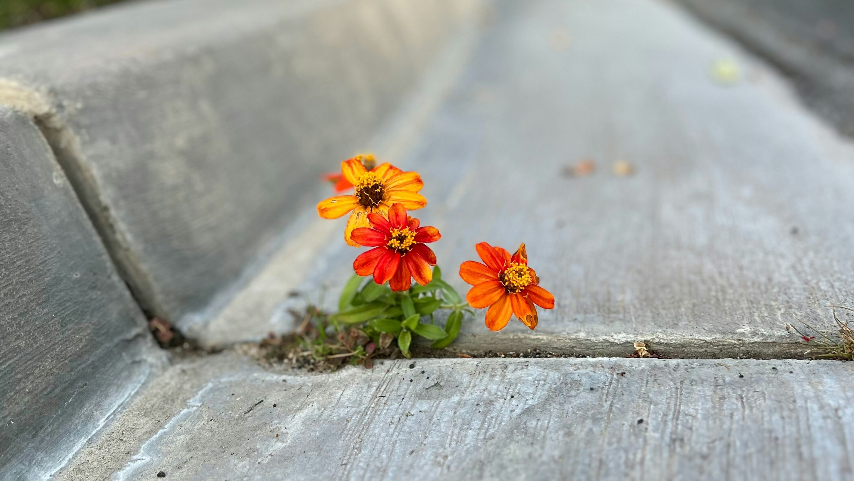 Resilience: The Missing Piece of the Puzzle - Thrive Global